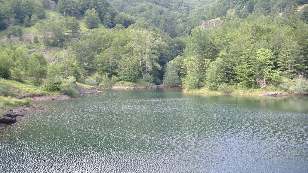 Santa Maria del Taro | Comune di Tornolo